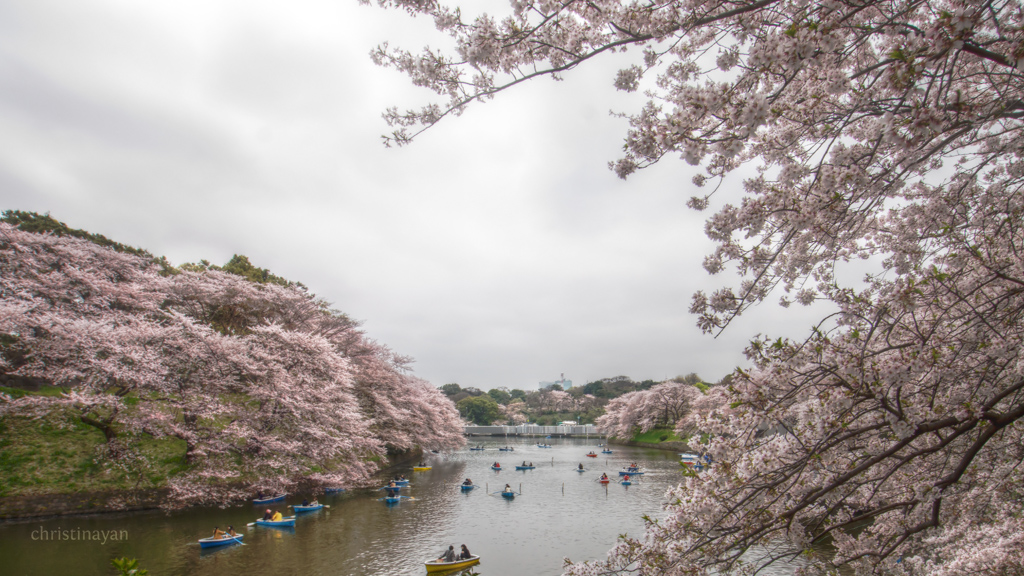 首都高速都心環状線 / (Metropolitan Expressway Inner Circular Route / ) – 建築グラビア